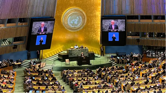 UN Summit of the Future signals support for media and journalism | GFMD